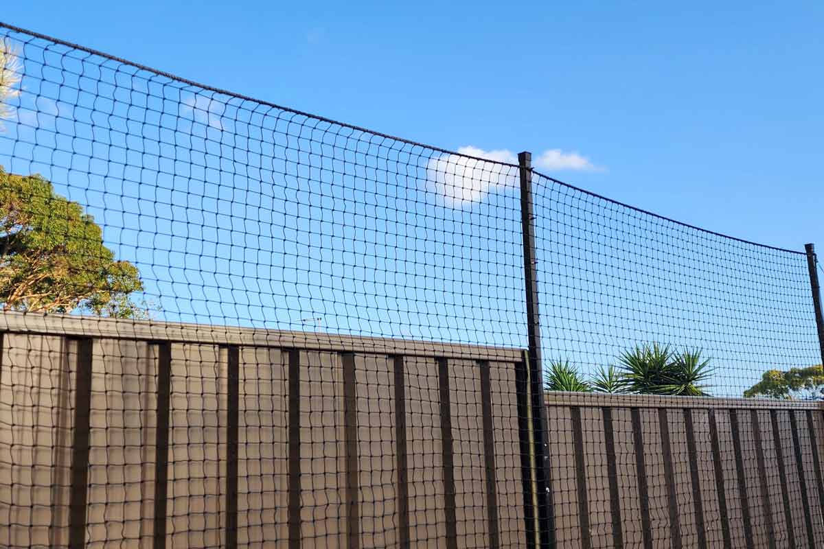 Everything you wanted to know about Sports Barrier Netting – Haverford