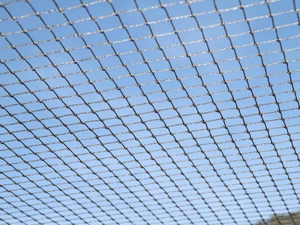 How to Choose the Best Bird Netting for Your Needs – Haverford