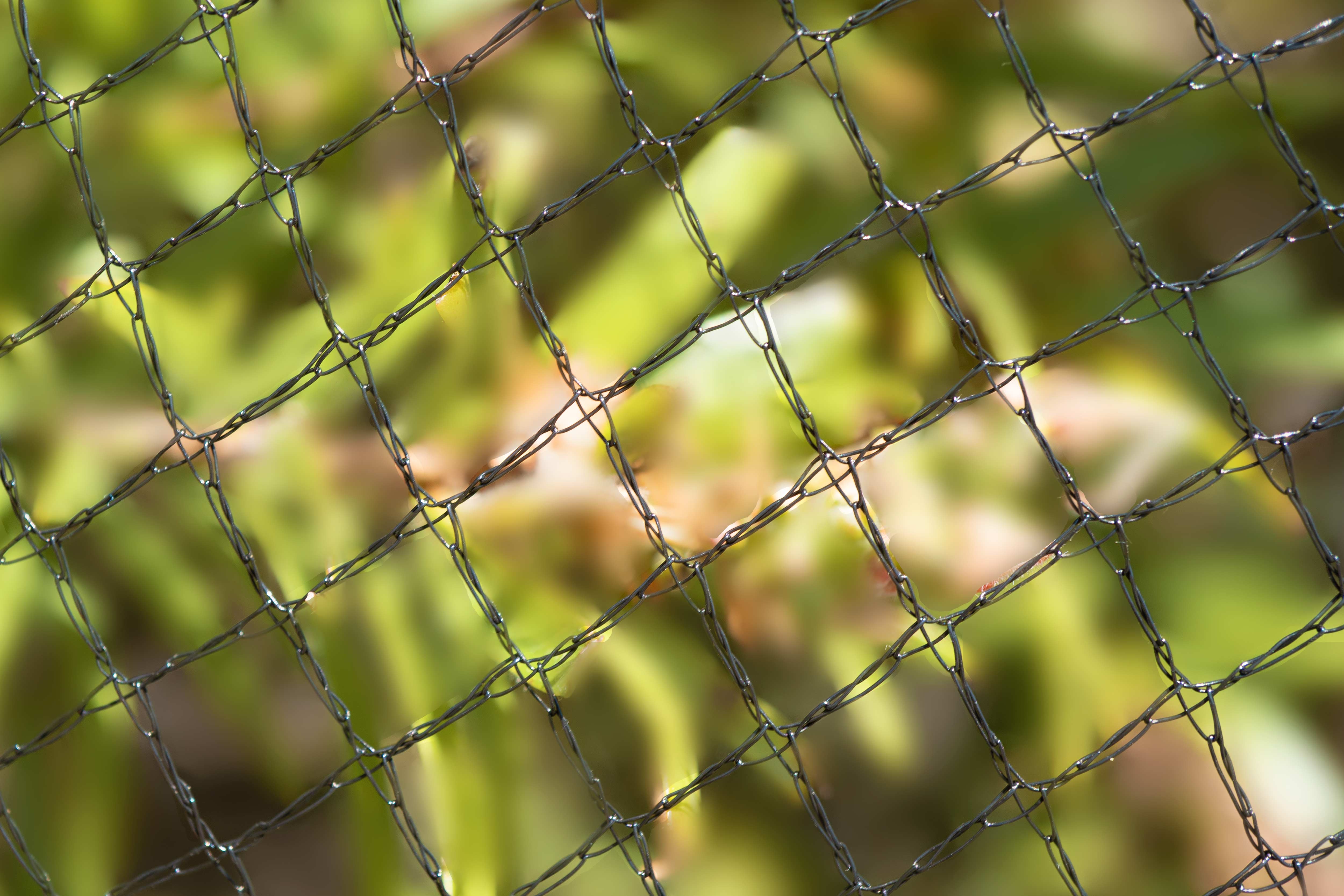 Wildlife Safe 5mm Diamond Bird Netting – Haverford