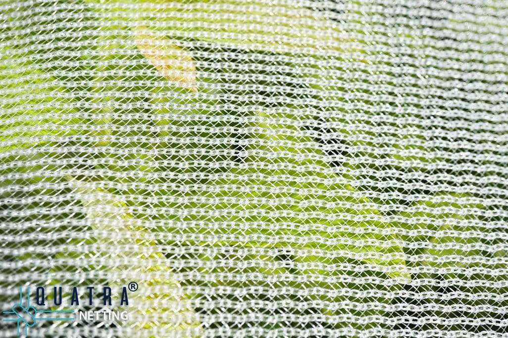 Fruit Fly & Insect Netting 103GSM – Haverford