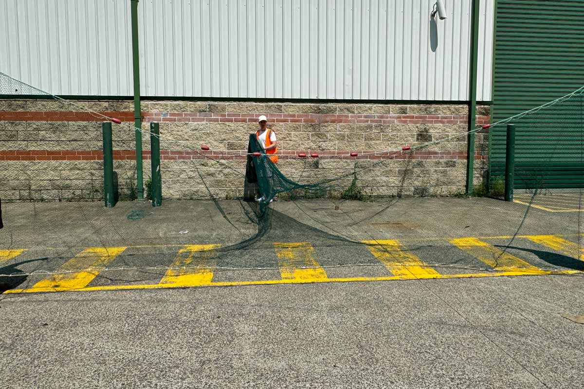 Deluxe Prawn Drag Net: FREE SHIPPING – Haverford