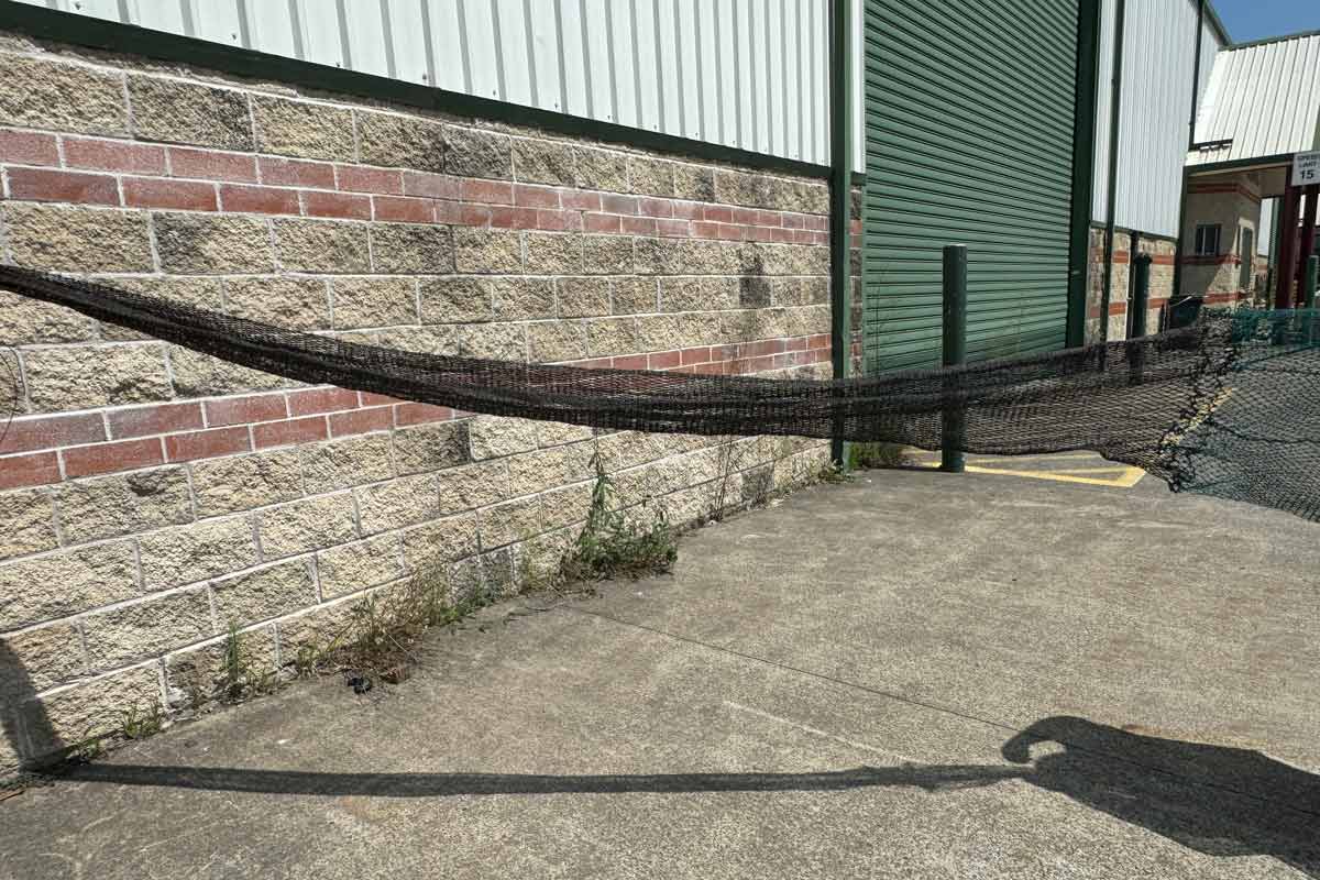 Deluxe Prawn Drag Net: FREE SHIPPING – Haverford