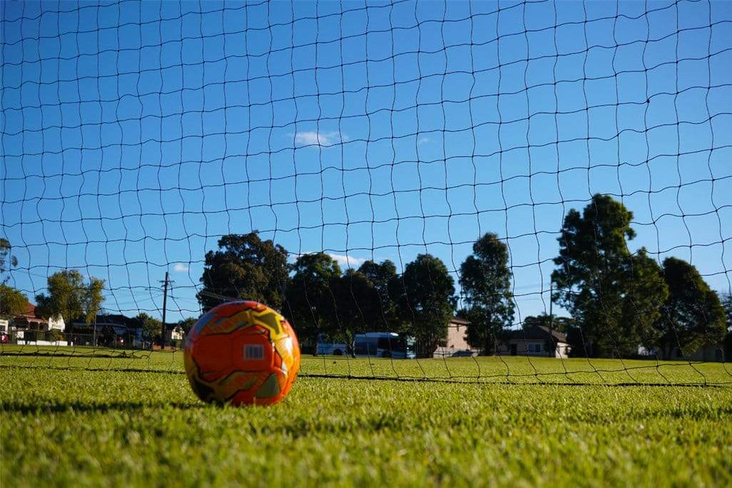 Ball Stop Barrier Nets with 2 Support Posts - 100mm sq (Multiple Sizes ...